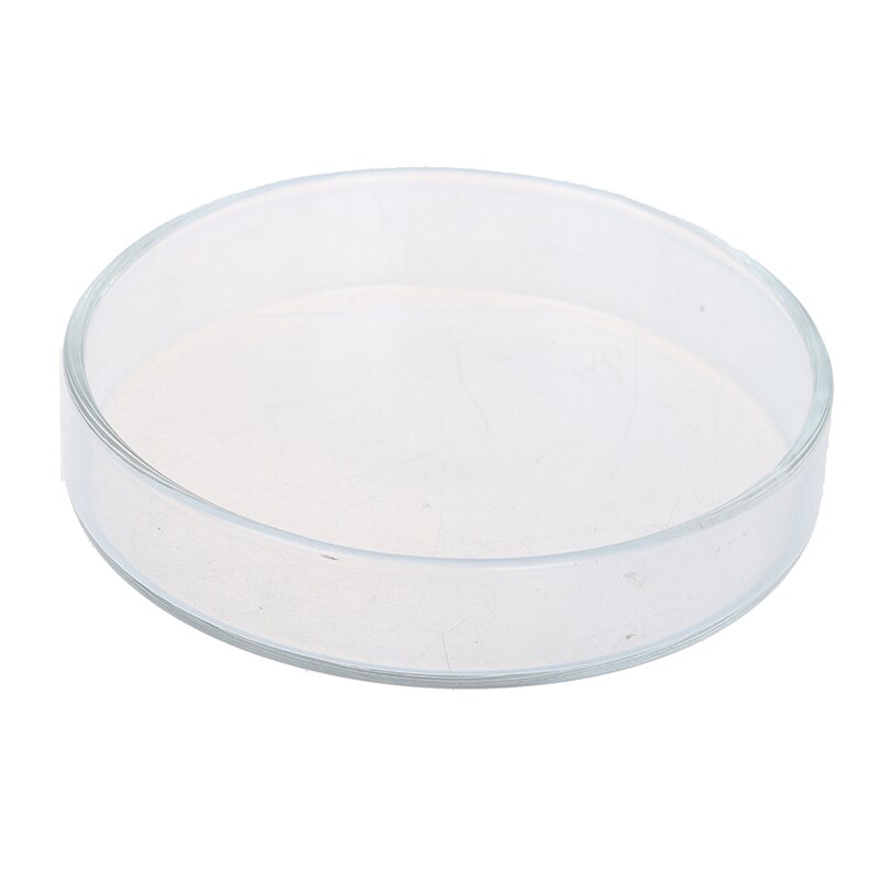 Clear Glass Shrimp Feeding Food Dish Feeder Tray R... – Grandado
