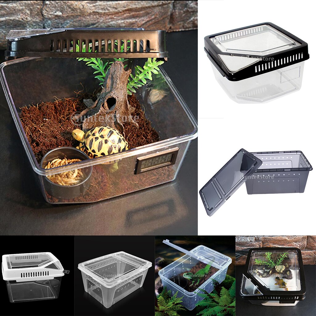 Reptile Terrarium Vivarium Tank Box Turtle Nursery... – Vicedeal