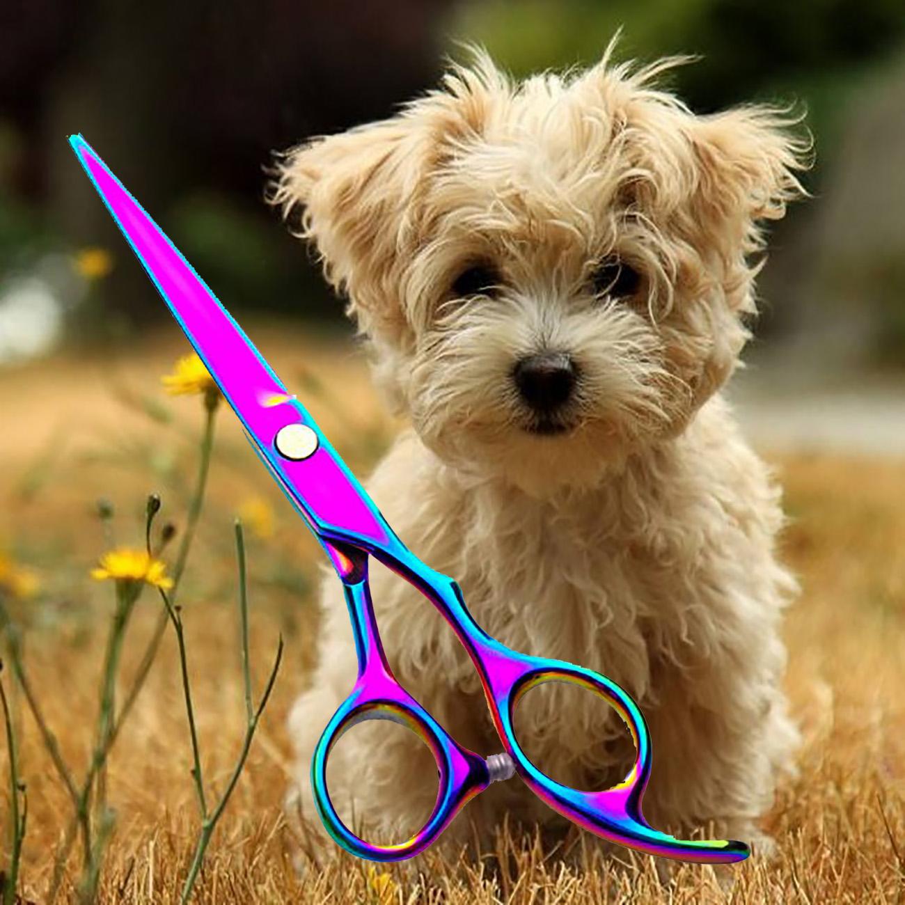 1/4 Pcs Rvs Pet Grooming Kit Professionele Hond Sn... – Grandado