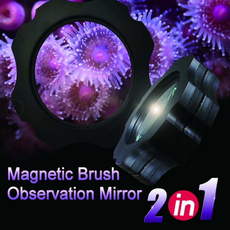 2 In 1 Aquarium Magnifier Fish Tank Glass Cleaner ... – Grandado