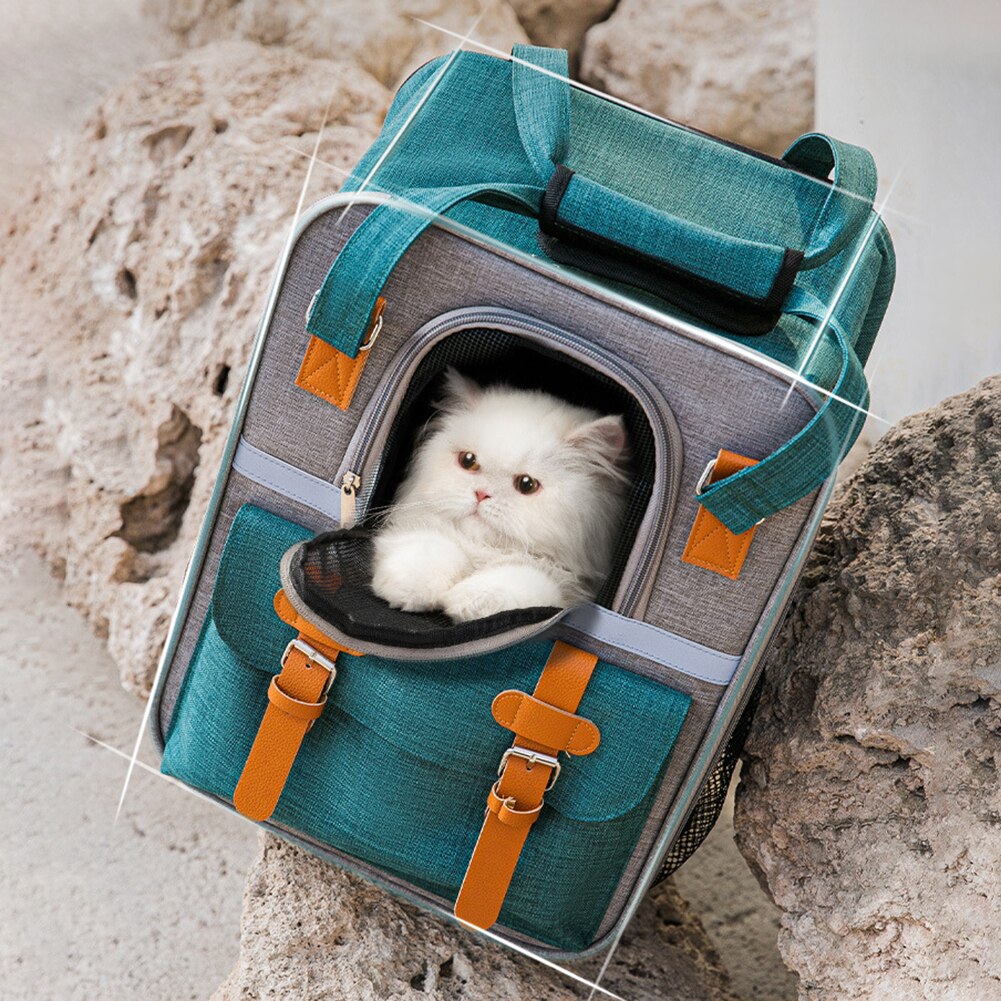 Outdoor Cat Mesh Carrier Backpack Large Capacity P... – Grandado
