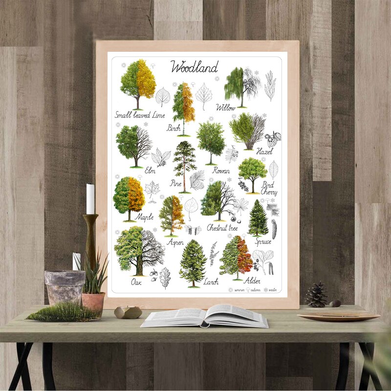 Tree Natural Educational Poster Art Woodland Home ... – Grandado