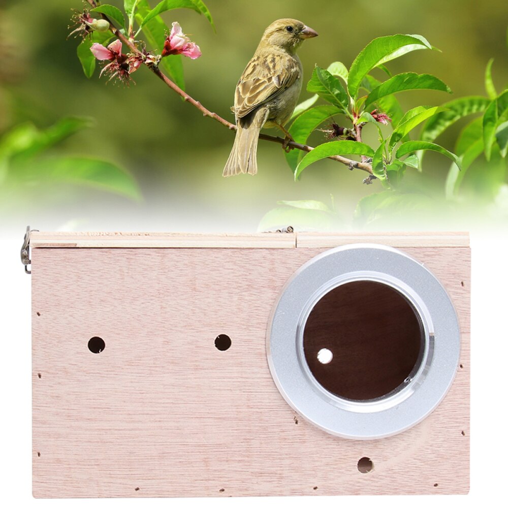 Wood Bird Nest Birds Living Place Incubator Small ... – Vicedeal