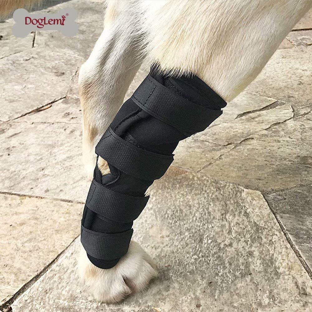 Pet Wrap Compression Leg Protects Wounds Injury Do... – Grandado