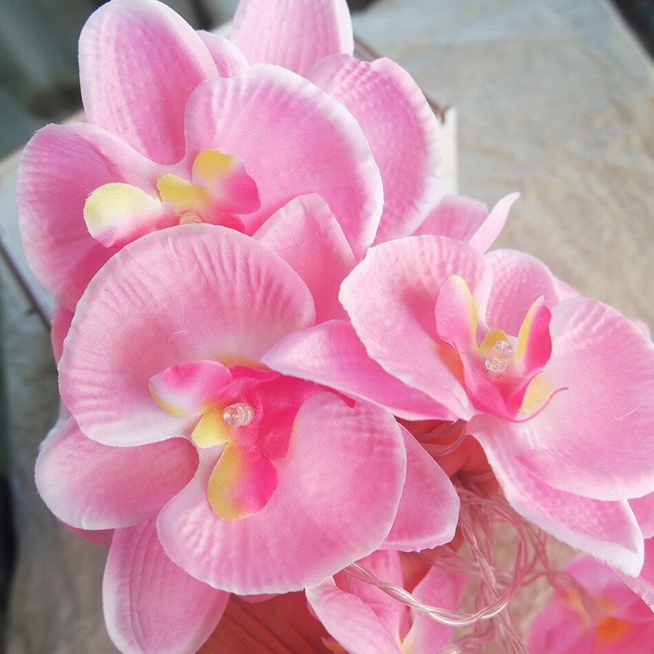 Novelty Orchid Flower Fairy String 5 Meter 20 LEDs... – Grandado
