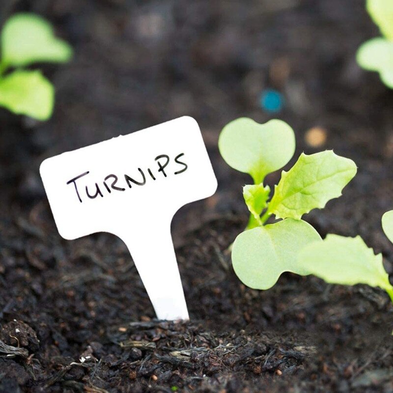 Garden Labels Gardening Plant Sorting Sign Plastic... – Grandado