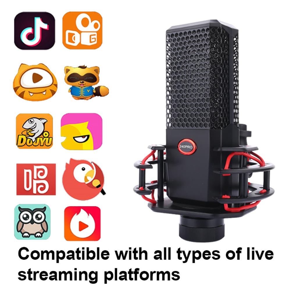 Microphone Classic Delicate Texture 240Pro Noise R... – Grandado