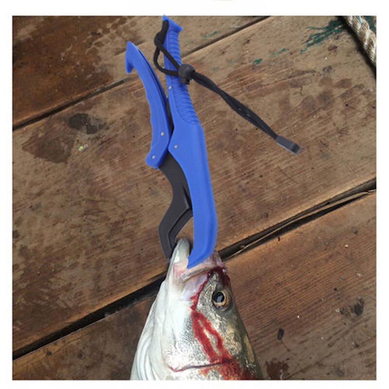 6/9 Inch Praktische Vis Vangen Tool Vissen Lip Gri... – Grandado