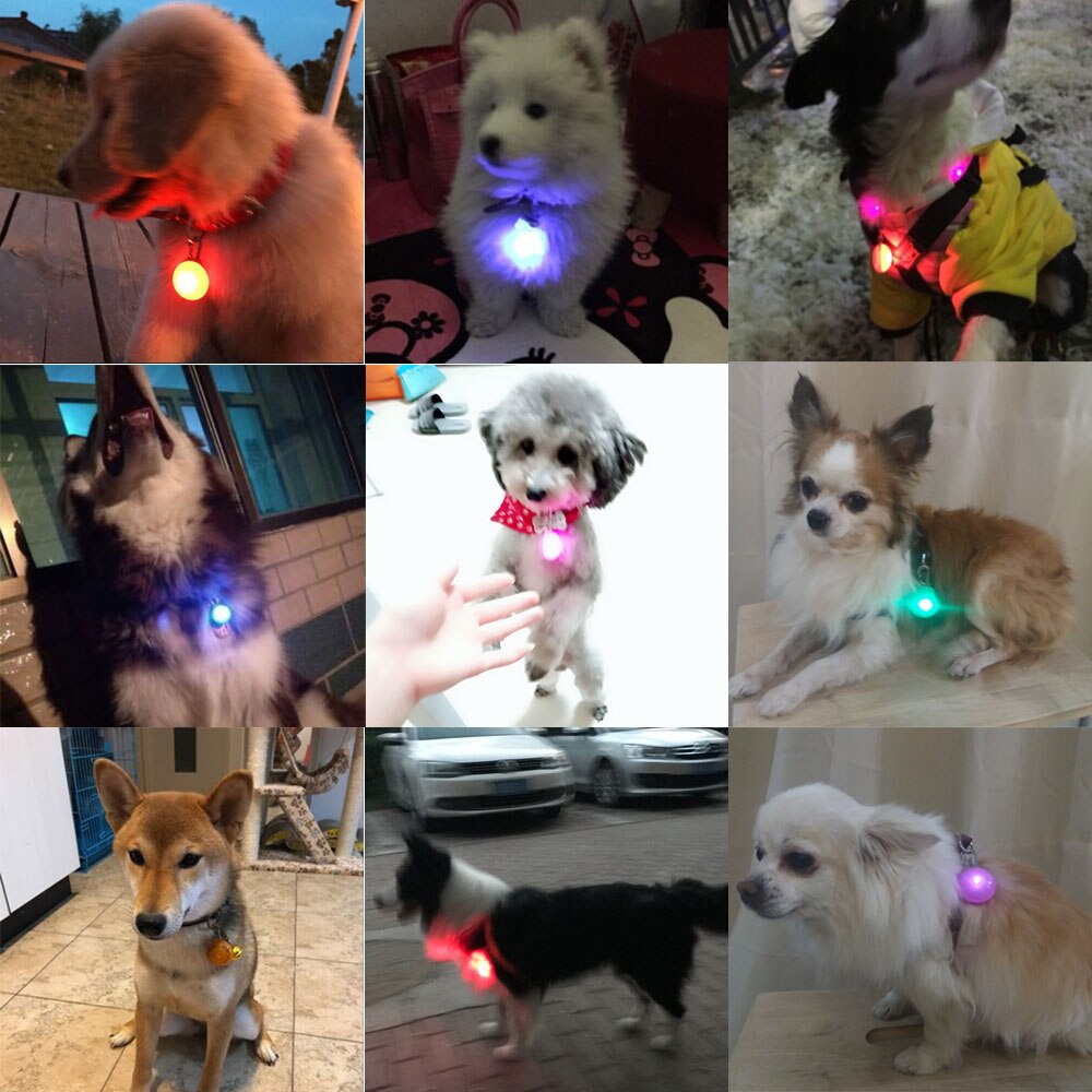 Led Dog Tag Nachts Drie Flash Modi Lichten Gloeien... – Vicedeal