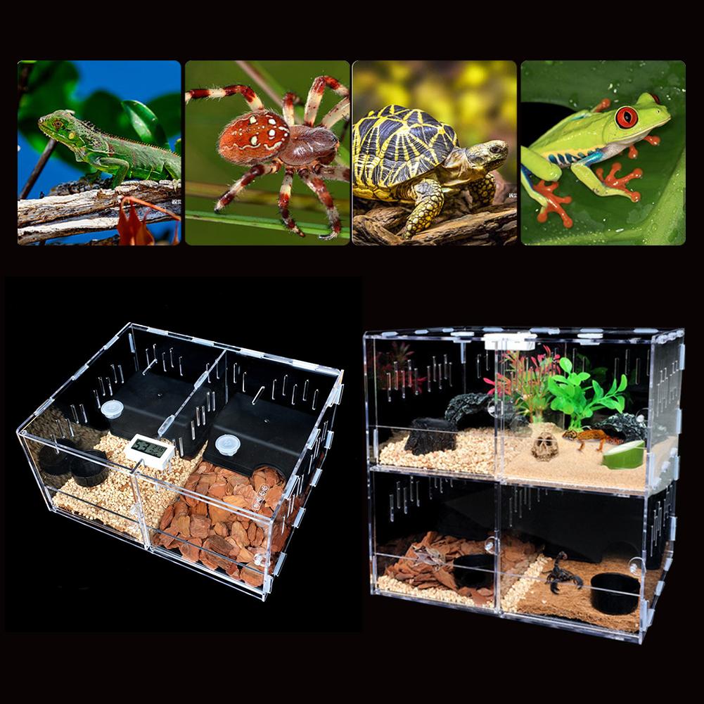 Reptile Feeding Box 2 4 Warehouse Multi-crawl Clim... – Vicedeal