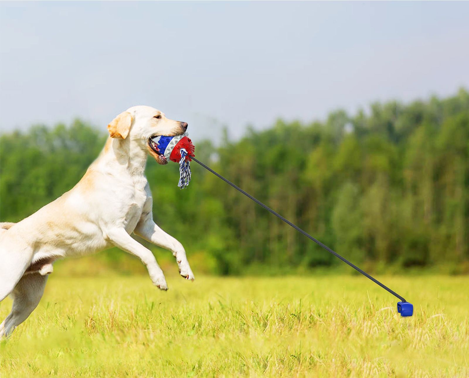 Outdoor Dog Tug Toy, Chew Toy, Interactive Tug-of ... – Grandado