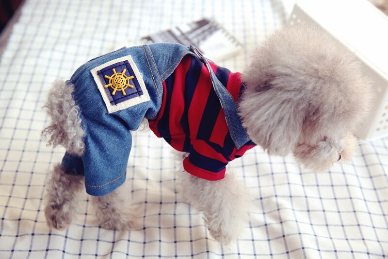 Knappe Ster Jeans Trousours Yorkshire Chihuahua Ho... – Grandado