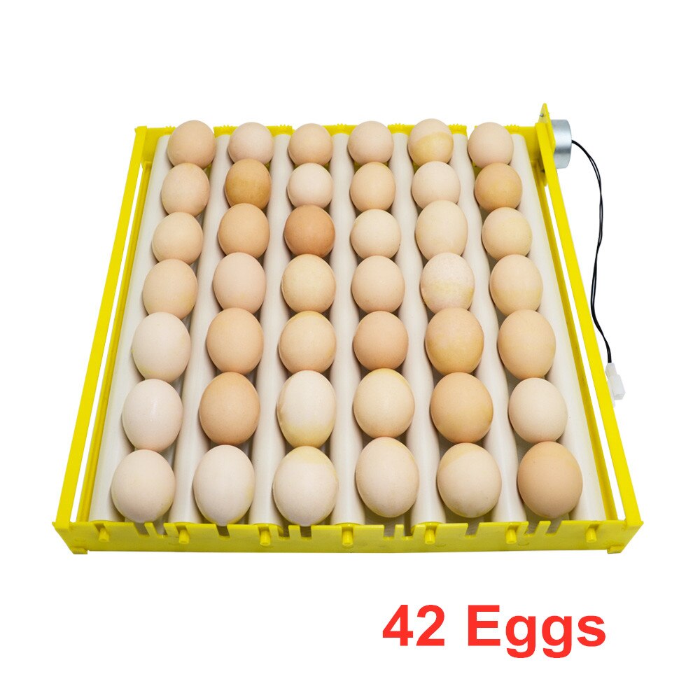 Automatic 360° Rotary Egg Turner Roller Tray 42/56... – Vicedeal