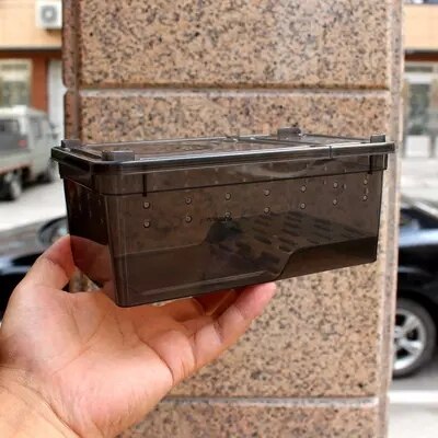 Amphibious Pet crawler Breeding box breeding horne... – Grandado