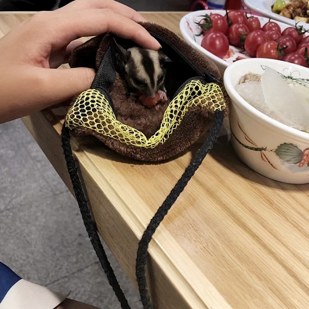 Dwarf & Syrian Hamster / Mice & Gerbils Pouch Dura... – Grandado