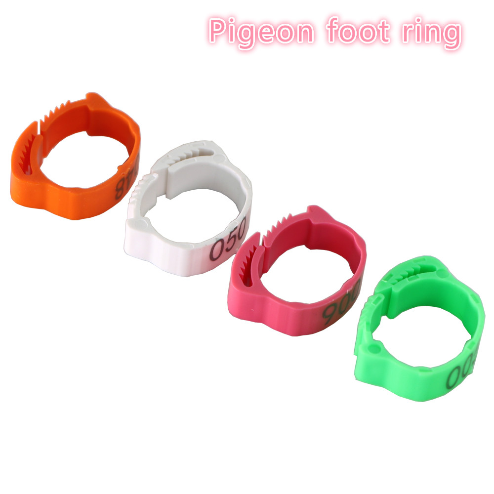 25/100 pcs Number Pigeon Leg Poultry Dove Bird Par... – Vicedeal