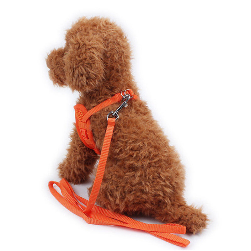 Arnés acolchado para perro mascota y correa lleva ... – Grandado Arnés acolchado para perro mascota y correa lleva ... – Grandado