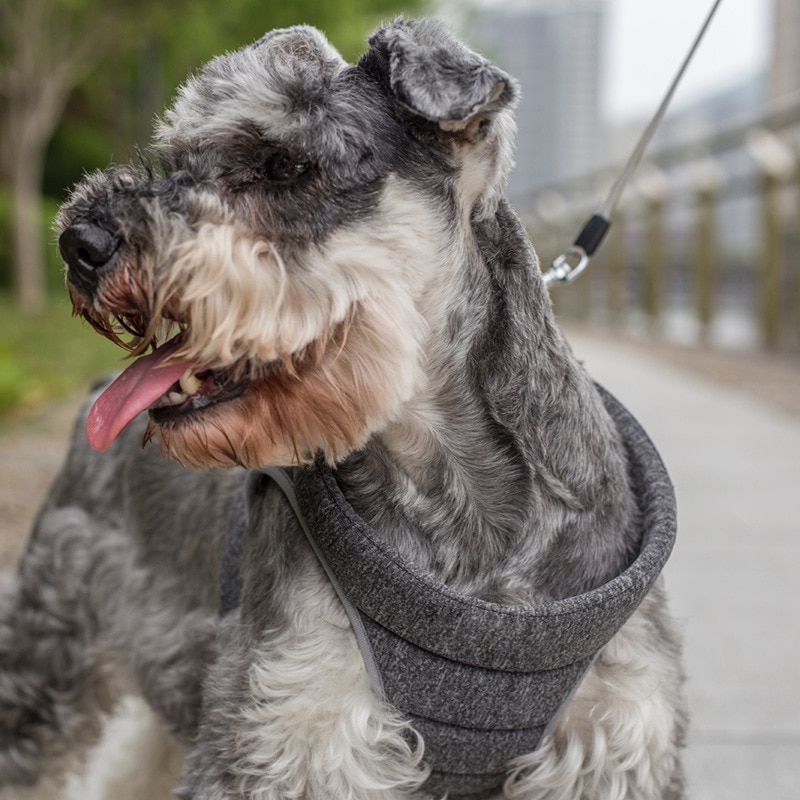 Åndbar hundesele snor sæt justerbar hvalp kat vest... – Grandado Åndbar hundesele snor sæt justerbar hvalp kat vest... – Grandado
