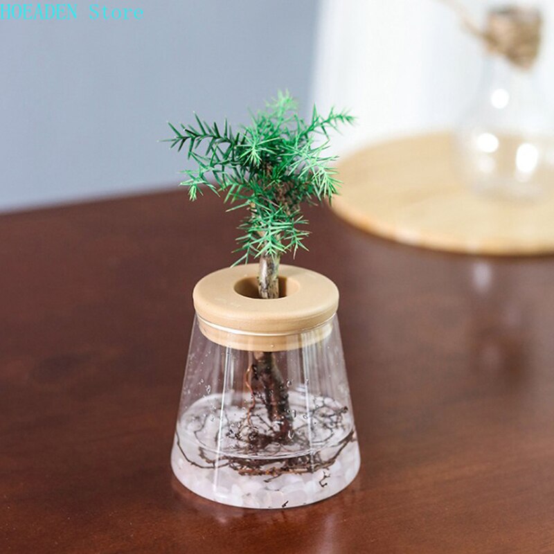 Lazy Transparent FlowerPot Hydroponics Automatic W... – Grandado