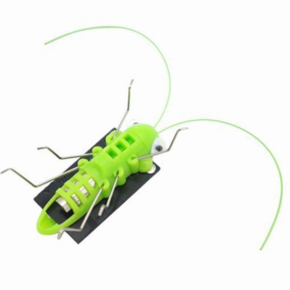 Fun Solar Power Robot Insect Locust Grasshopper Ki... – Grandado