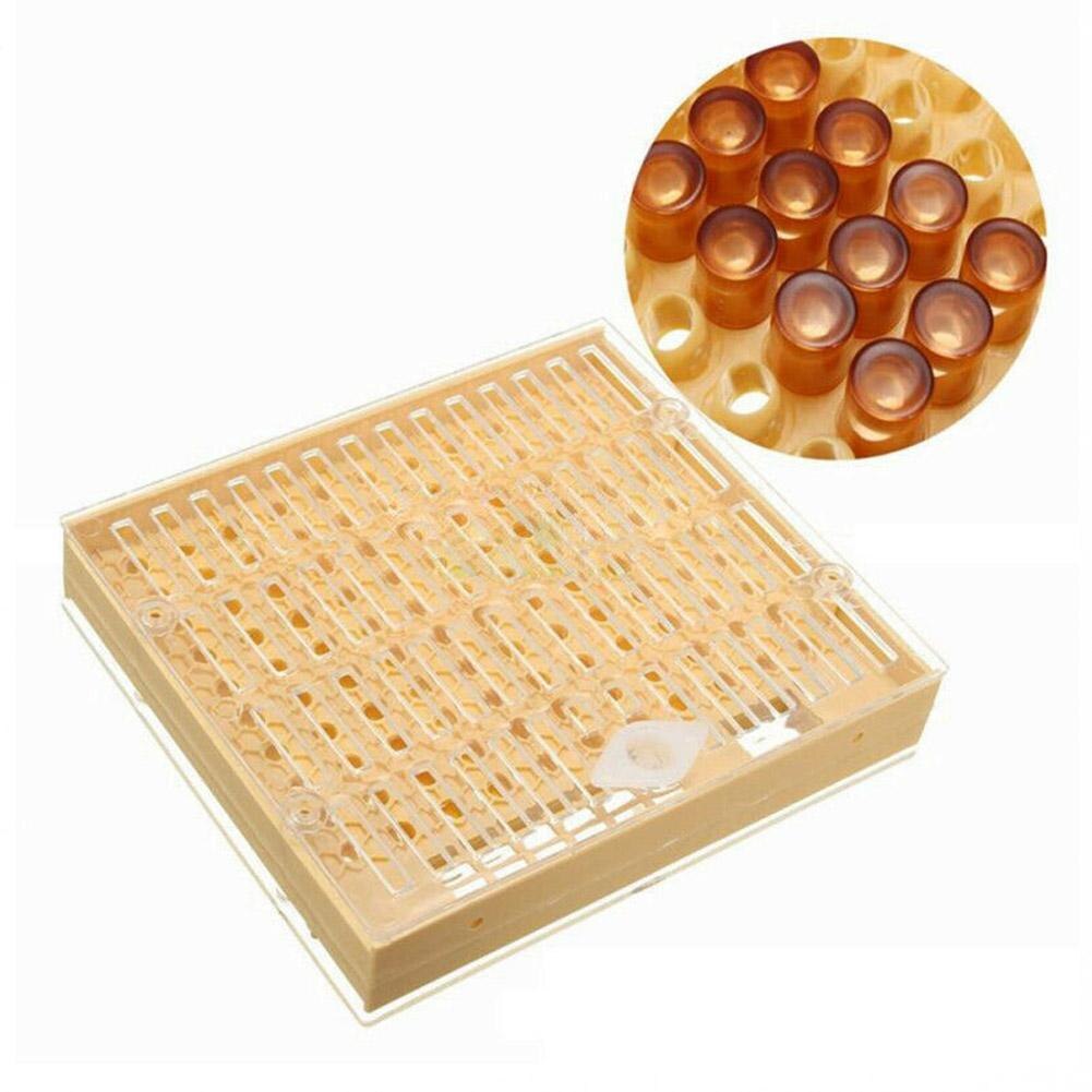 Bees Tools Cages King Queen Rearing Cup Kit System... – Grandado