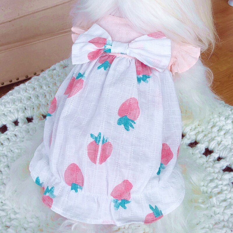 Dog Dress Summer Girl Dog Clothes Skirt Tutu Poodl... – Vicedeal