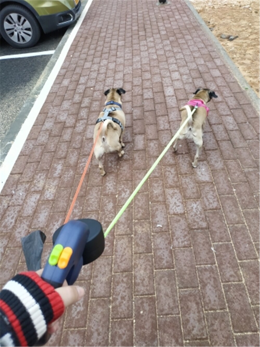 Double/Single Headed Pet Traction Rope Pet Extenda... – Grandado