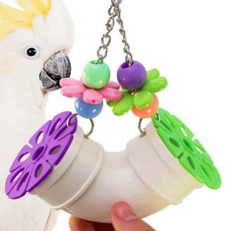 Parrot Toy Bite Toy Bird Toy Pipeline Toy Acrylic ... – Grandado