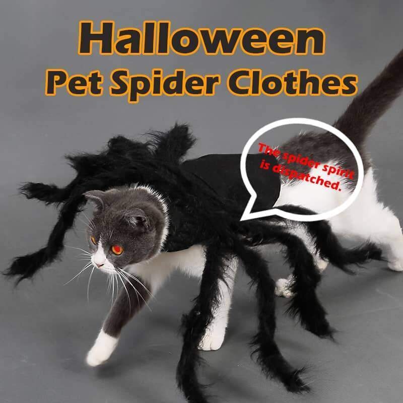 Halloween Pet Spider Clothes – Vicedeal