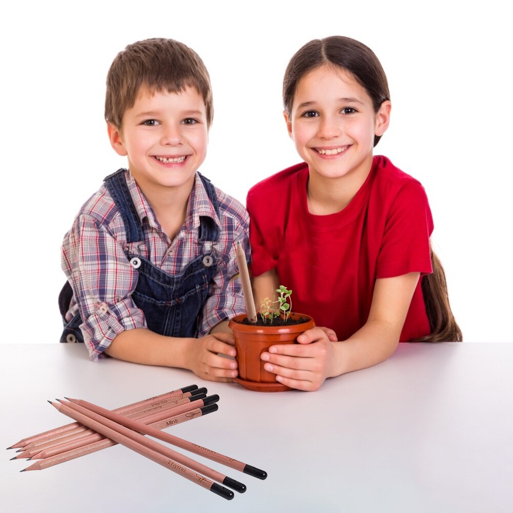 8PCS Idea Germination Pencil Set To Grow Pencil Pe... – Grandado