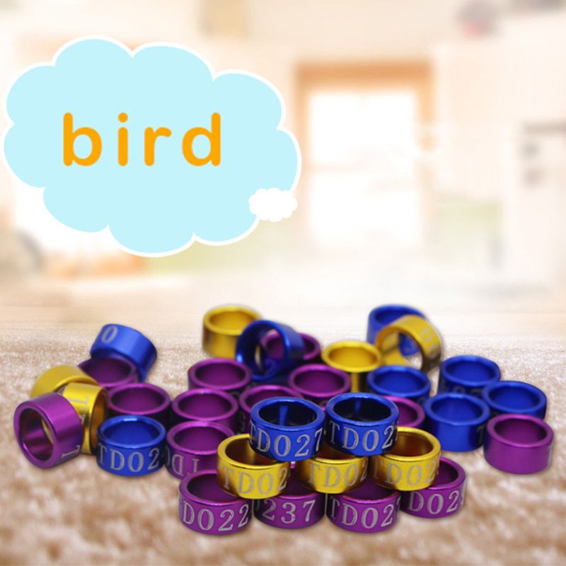 50 Pcs Mix Color Bird Foot Ring Bands Clip on Leg ... – Grandado