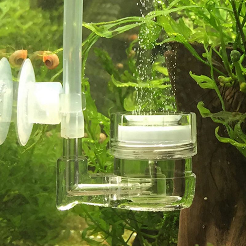 Co2 Diffuser with Bubble Acrylic Counter Aquarium ... – Grandado