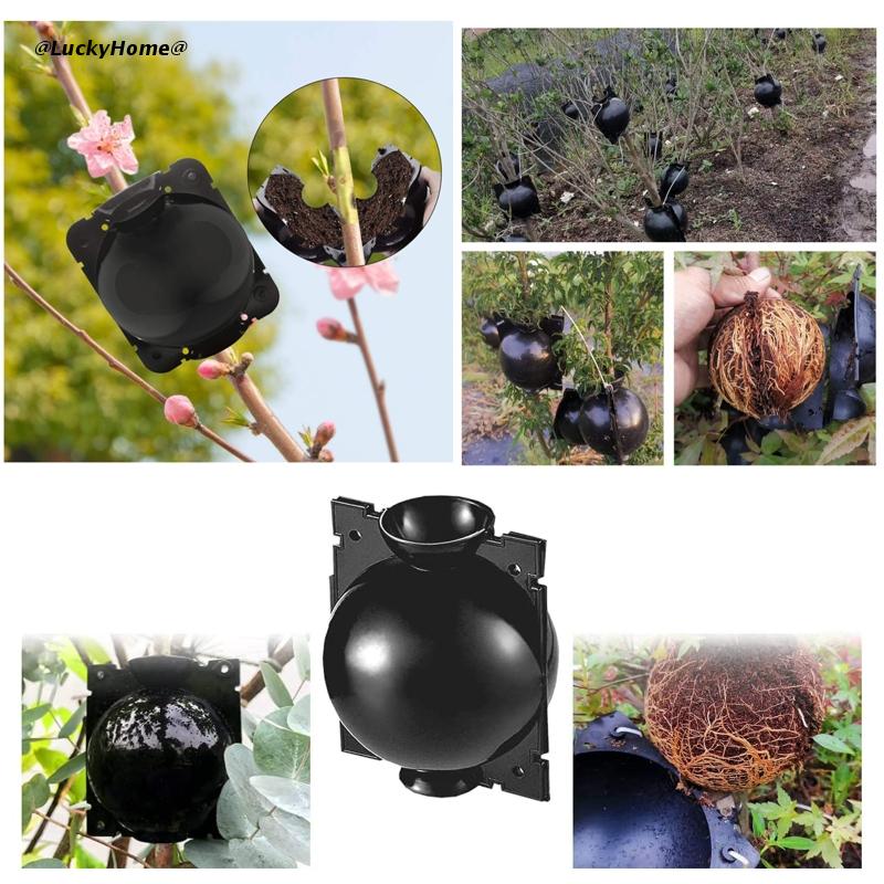 10 Pcs High Pressure Propagation Balls Graft Breed... – Vicedeal