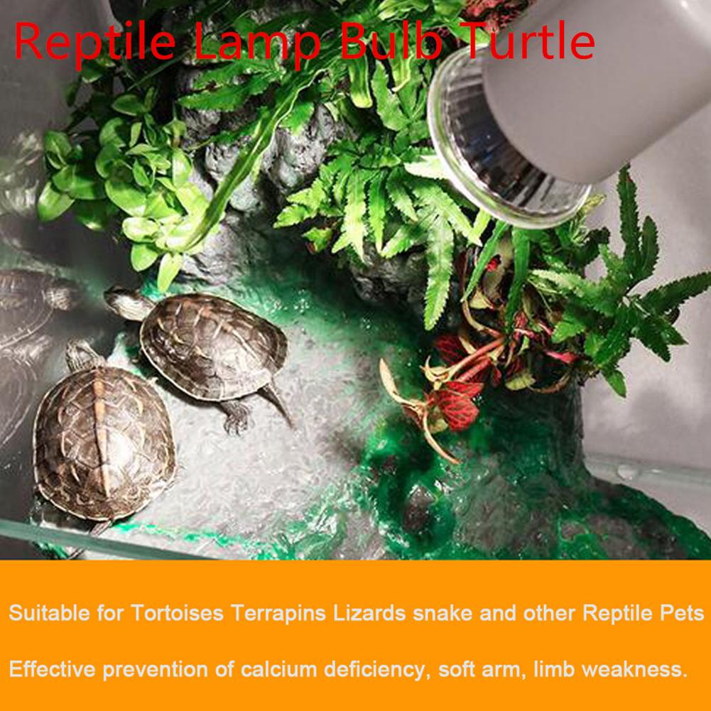 Glass Turtle Basking Lamp Reptile Pet Calcium Supp... – Grandado