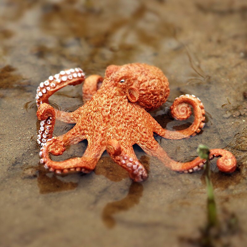 Ocean Model Marine Animals Octopus Model Action Fi... – Grandado