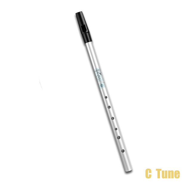Gold/Silver Flute 6 Holes C/D Key Flute Irish Whis... – Vicedeal
