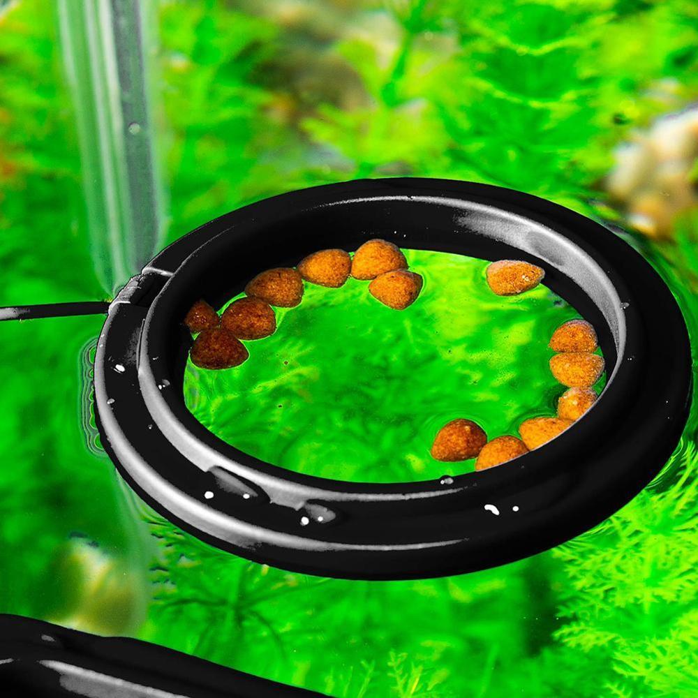 ish Feeding Aquarium Fish Tank Ring Feeder Station... – Grandado