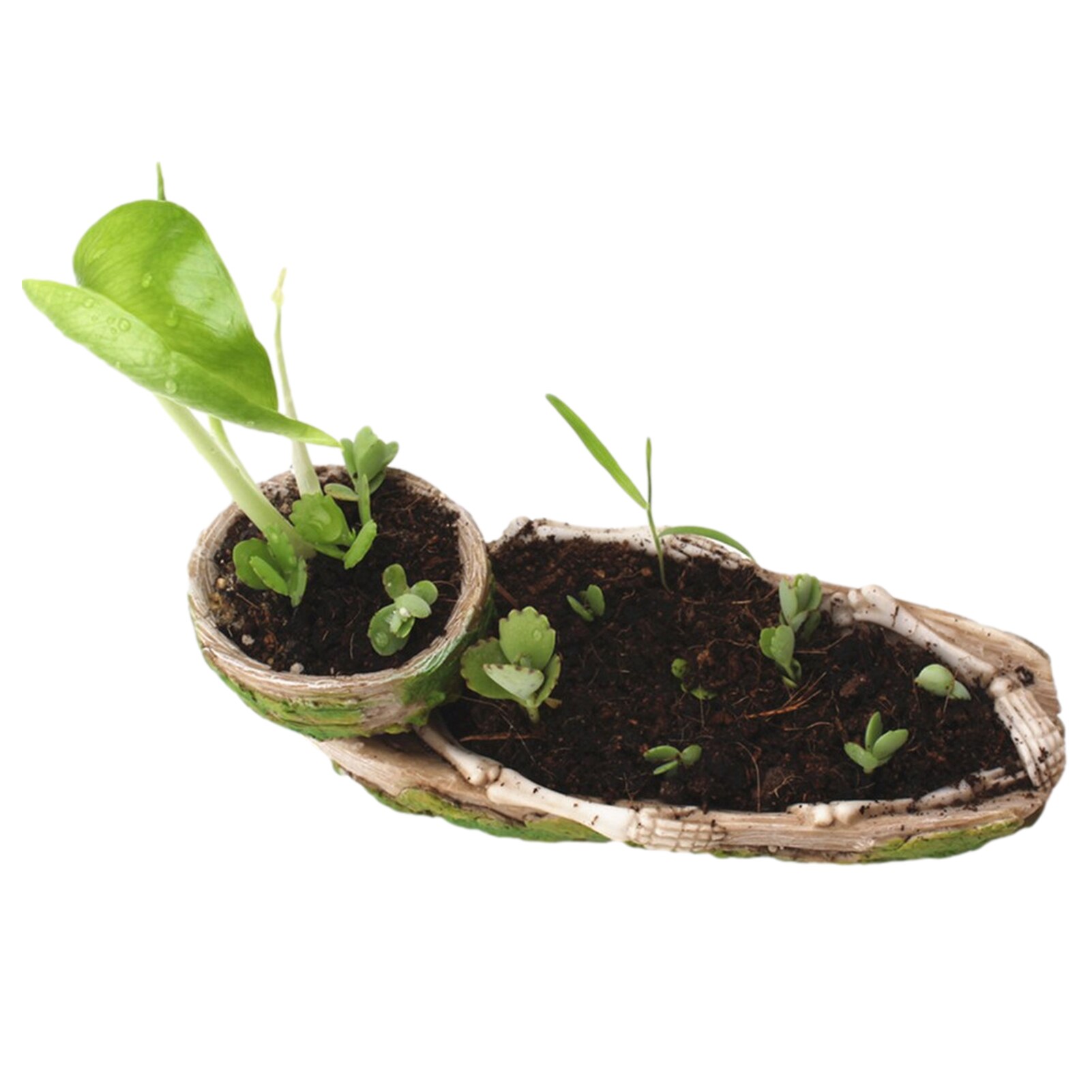 Small Bone-shaped Flower Pot Skeleton Flower Pot R... – Grandado