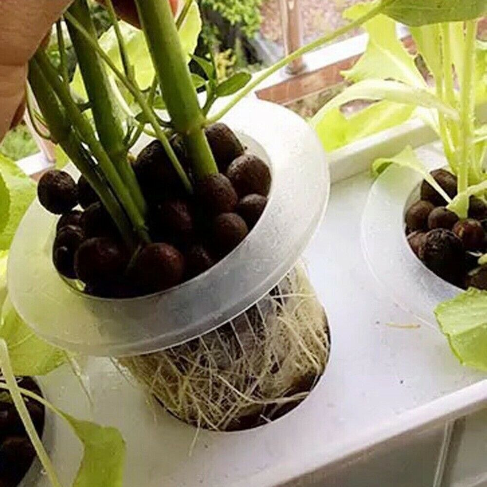 10pcs 83*66mm Soilless Cultivation Root Control an... – Grandado