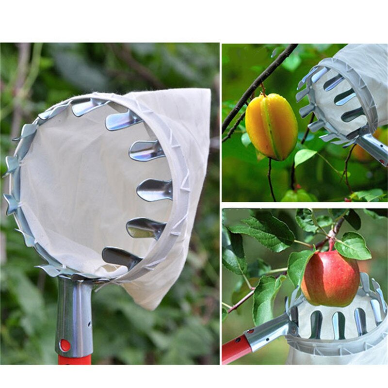 Obst Pflücker Bequem Gartenbau Obst Pflücker Extra... – Grandado