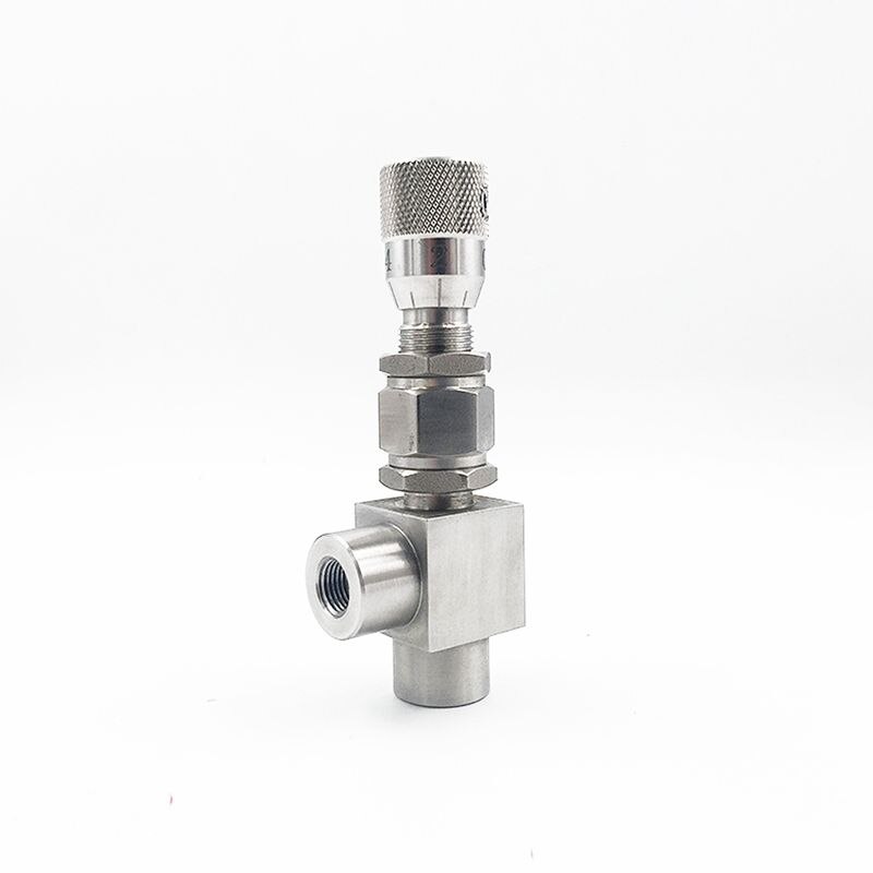 G 1/8" 1/4" NPT 3/8" 1/2" 304 SS Angle Type Micro ... – Grandado