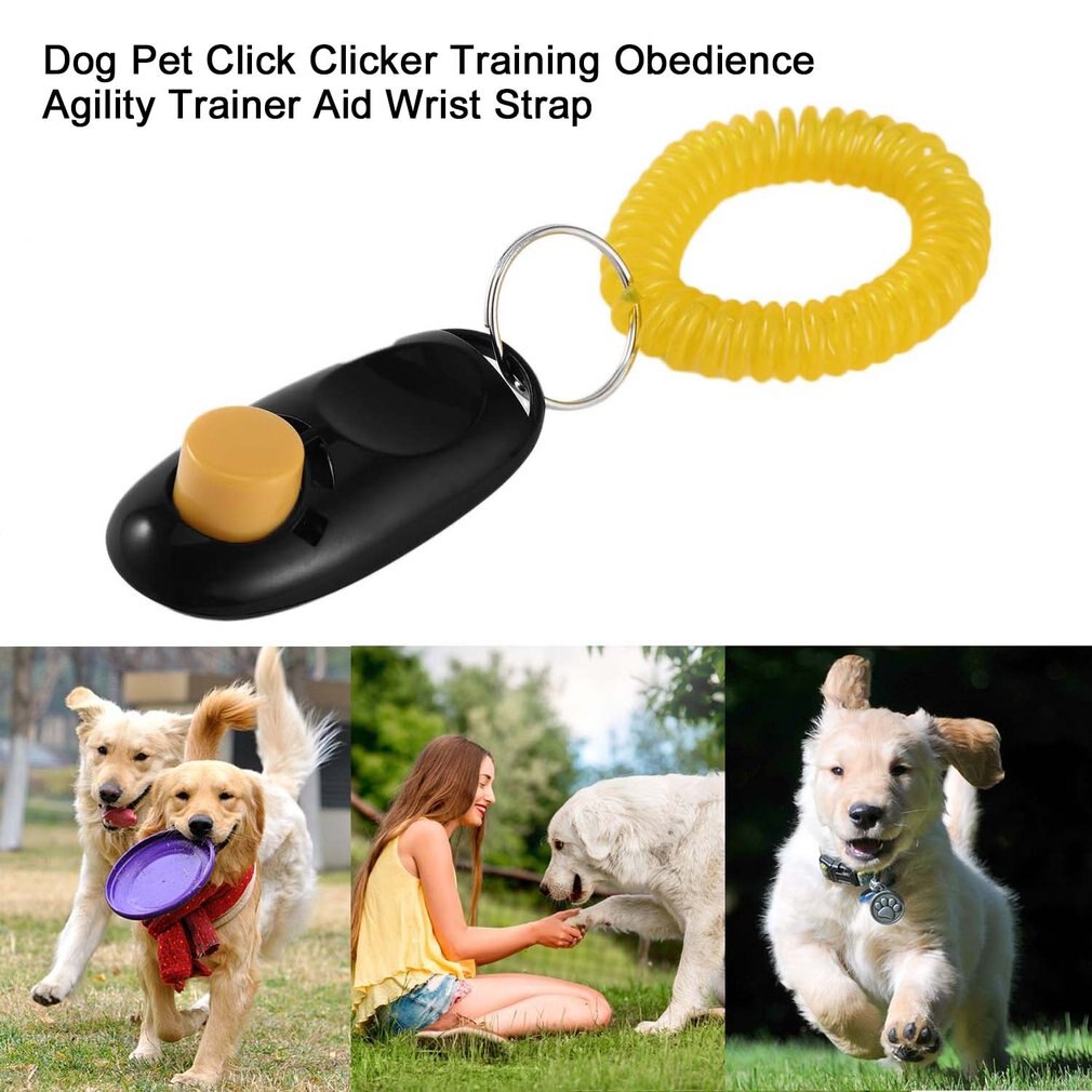 Huisdier Clicker Training Gehoorzaamheid Agility T... – Grandado