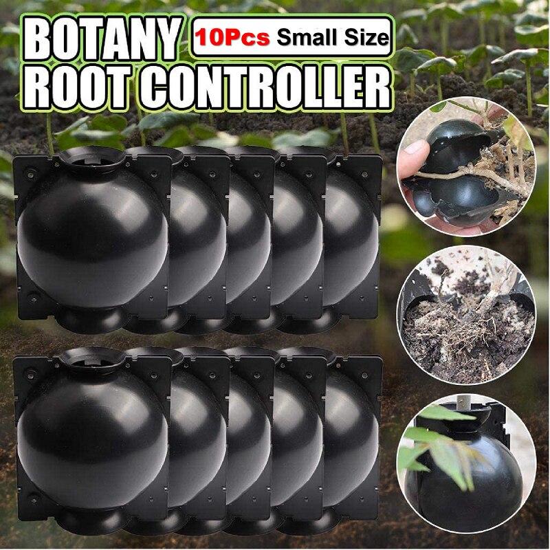 10pcs 5CM Plant Rooting Device Propagation Ball Re... – Vicedeal