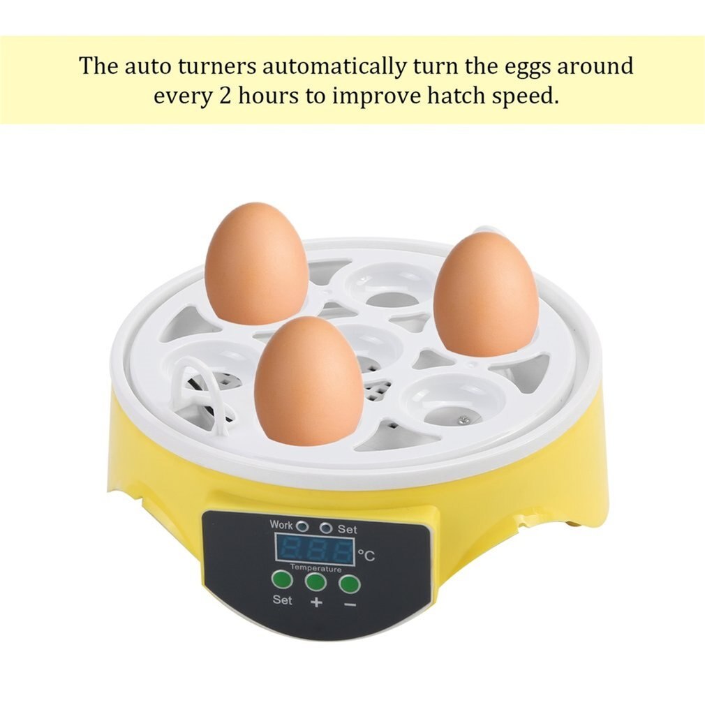 7 Eggs Capacity Chicken Eggs Bird Incubator Egg Ra... – Grandado