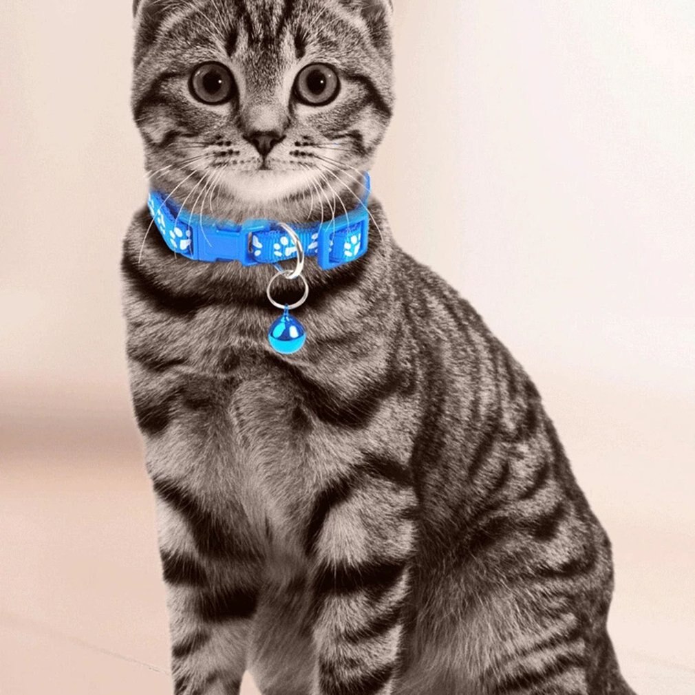 Cute Bell Collar For Cats Dog Collar Teddy Bomei D... – Grandado