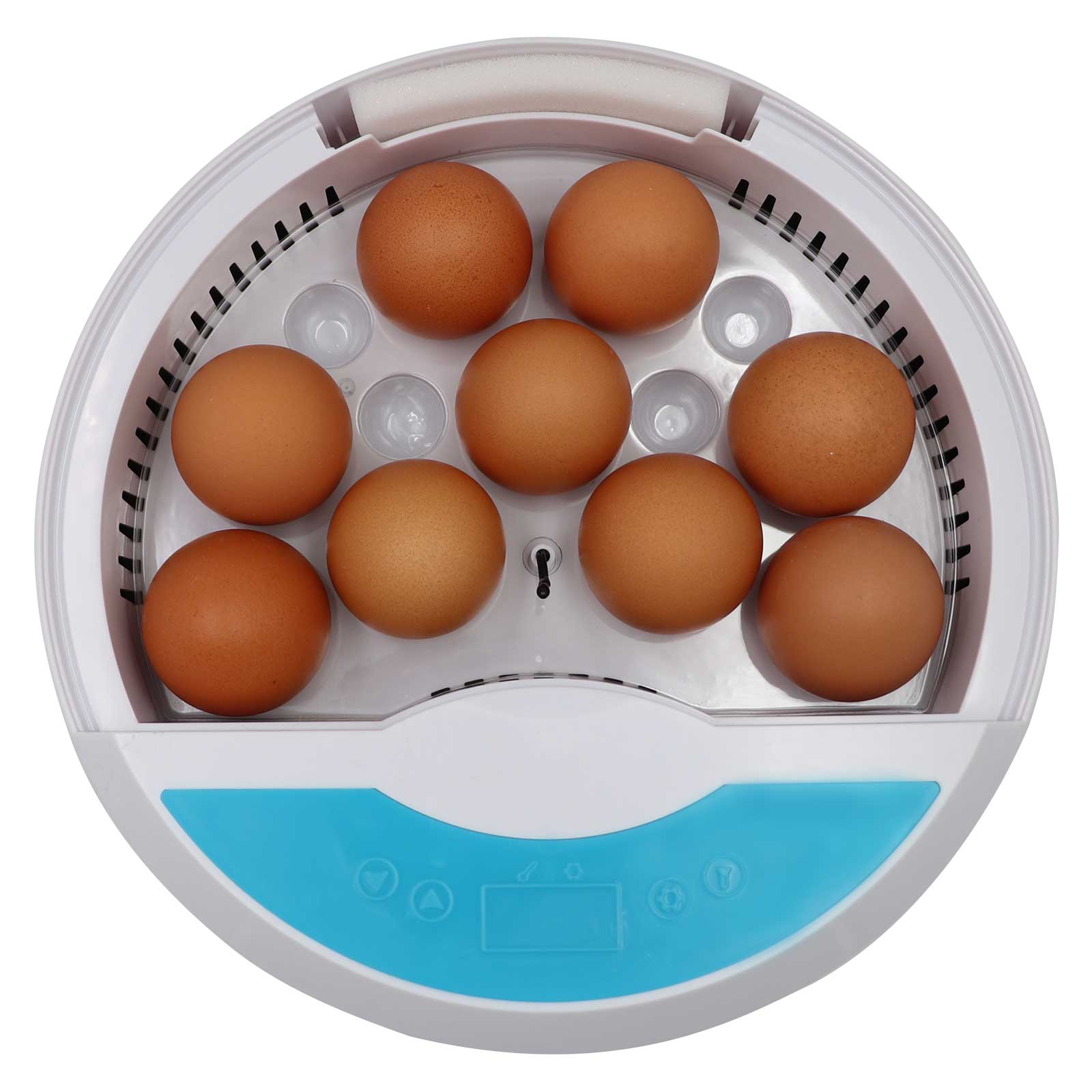 Mini 9 Egg Incubator Farm Hatching Digital Tempera... – Grandado