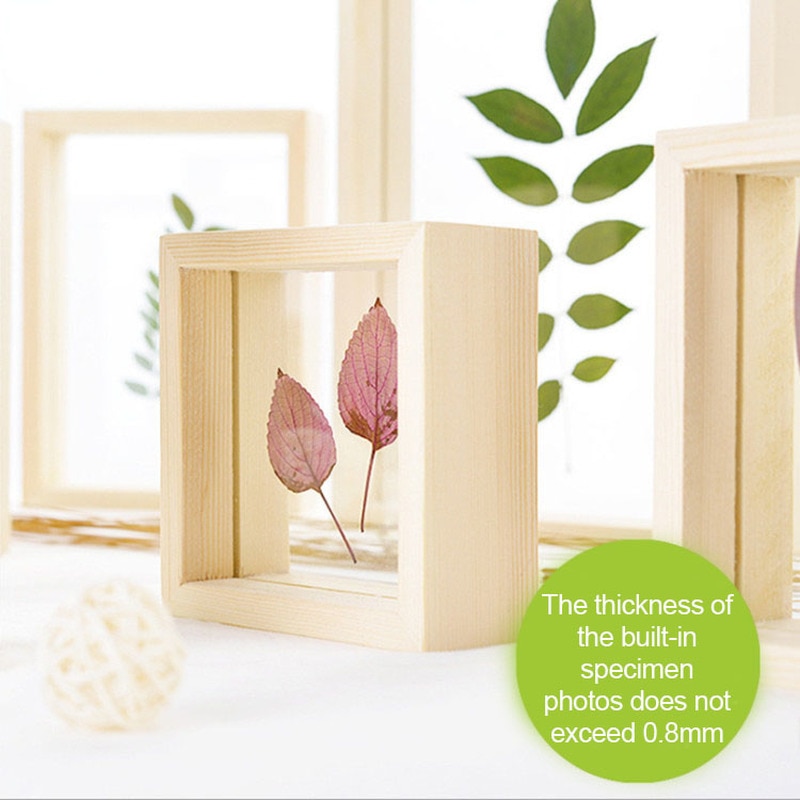Double-sided Glass Herbarium Photo Frame Wood Colo... – Grandado