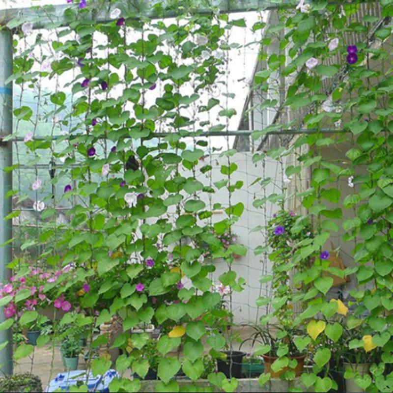 Garden Fence Nylon Net Plant Growth Climbing Frame... – Vicedeal
