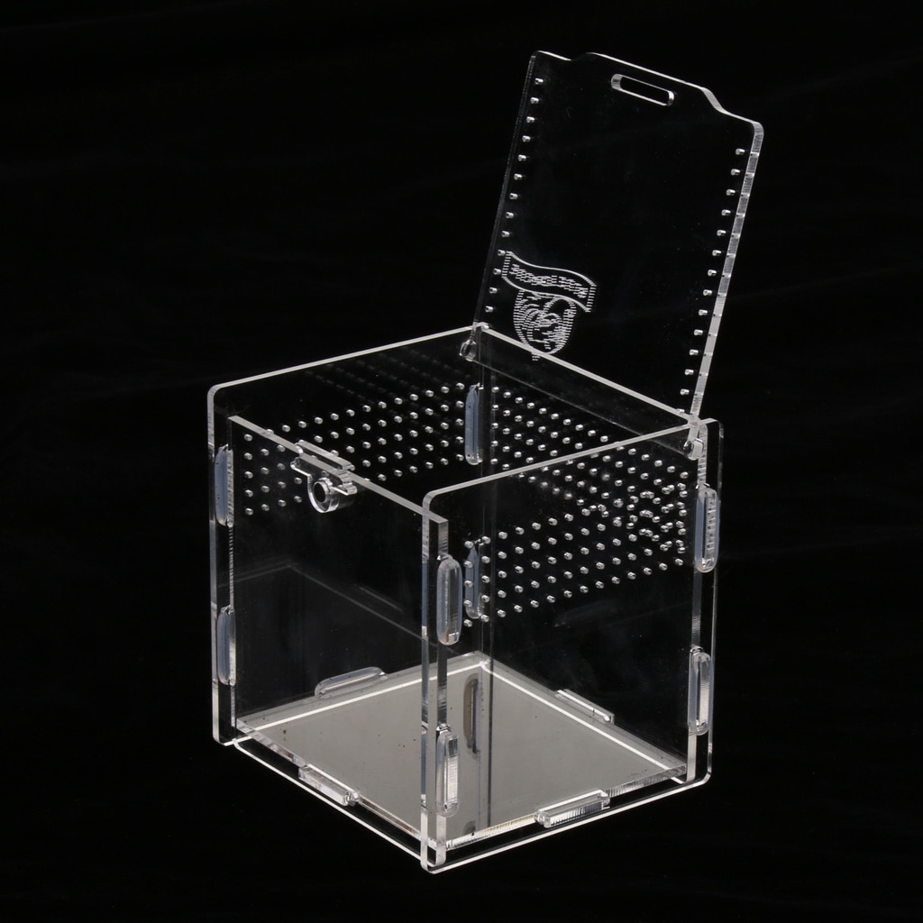 Reptiles Tank Insect Spiders Breeding Box Terrariu... – Grandado