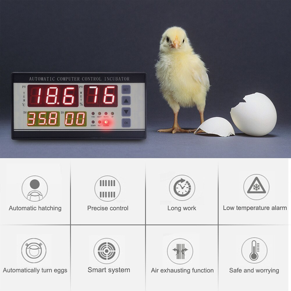 Automatic Egg Incubator Controller High-Precision ... – Grandado